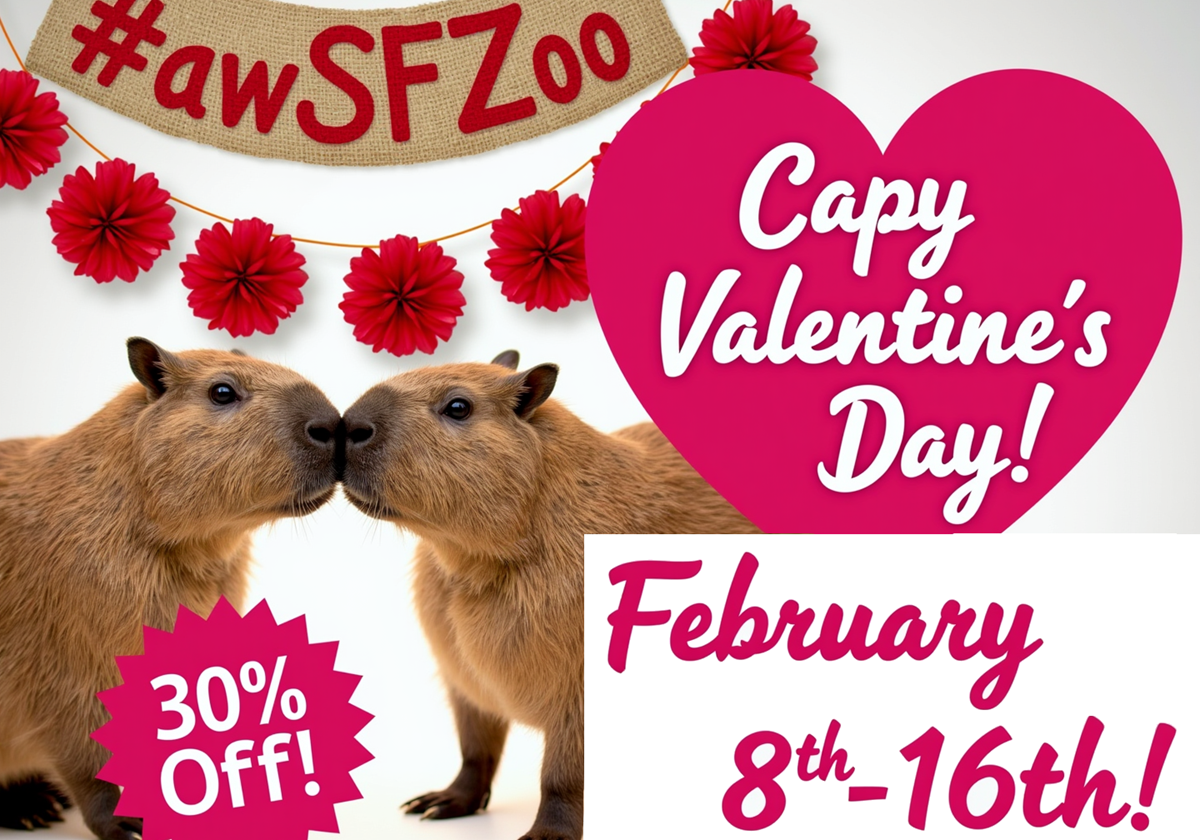 "Capy" Valentine's Day at the Zoo: Feb 8th to 16, 2025